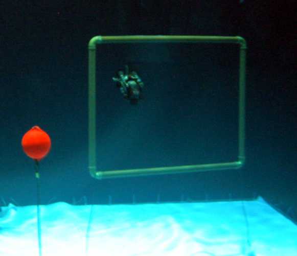 The “Lead Zeppelin” AUV – Robotics at Constructor University