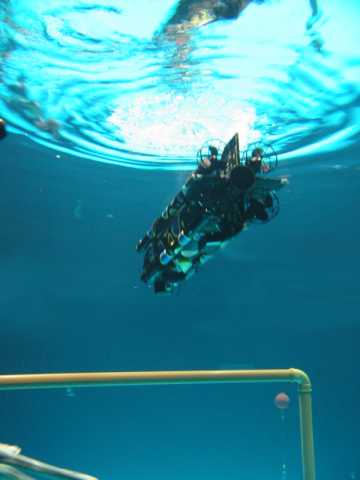 Marine Robotics – Robotics at Constructor University